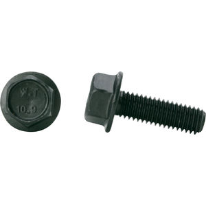 Engine Side Cover Bolt – Toigo Racing