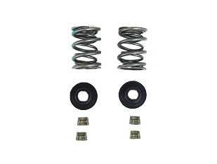 Dyno Hi-Performance Dual Valve Spring Kit for Modified Honda / Clone ...